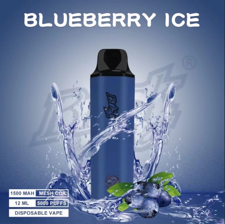 BRISK BAR BLUEBERRY ICE – 5000 PUFFS | IGET Australia